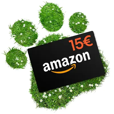 Online-Versicherungen von DA Direkt – immer für Sie da